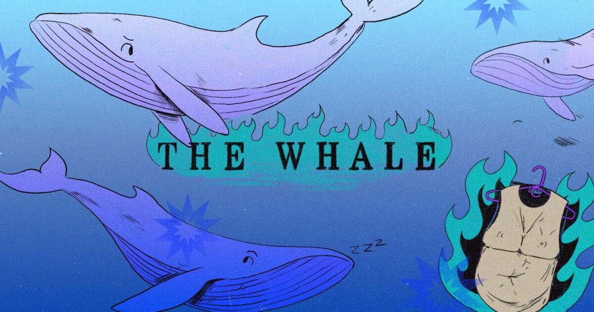 The Whale o por qué la gordofobia se coló en los Óscar - Volcánicas